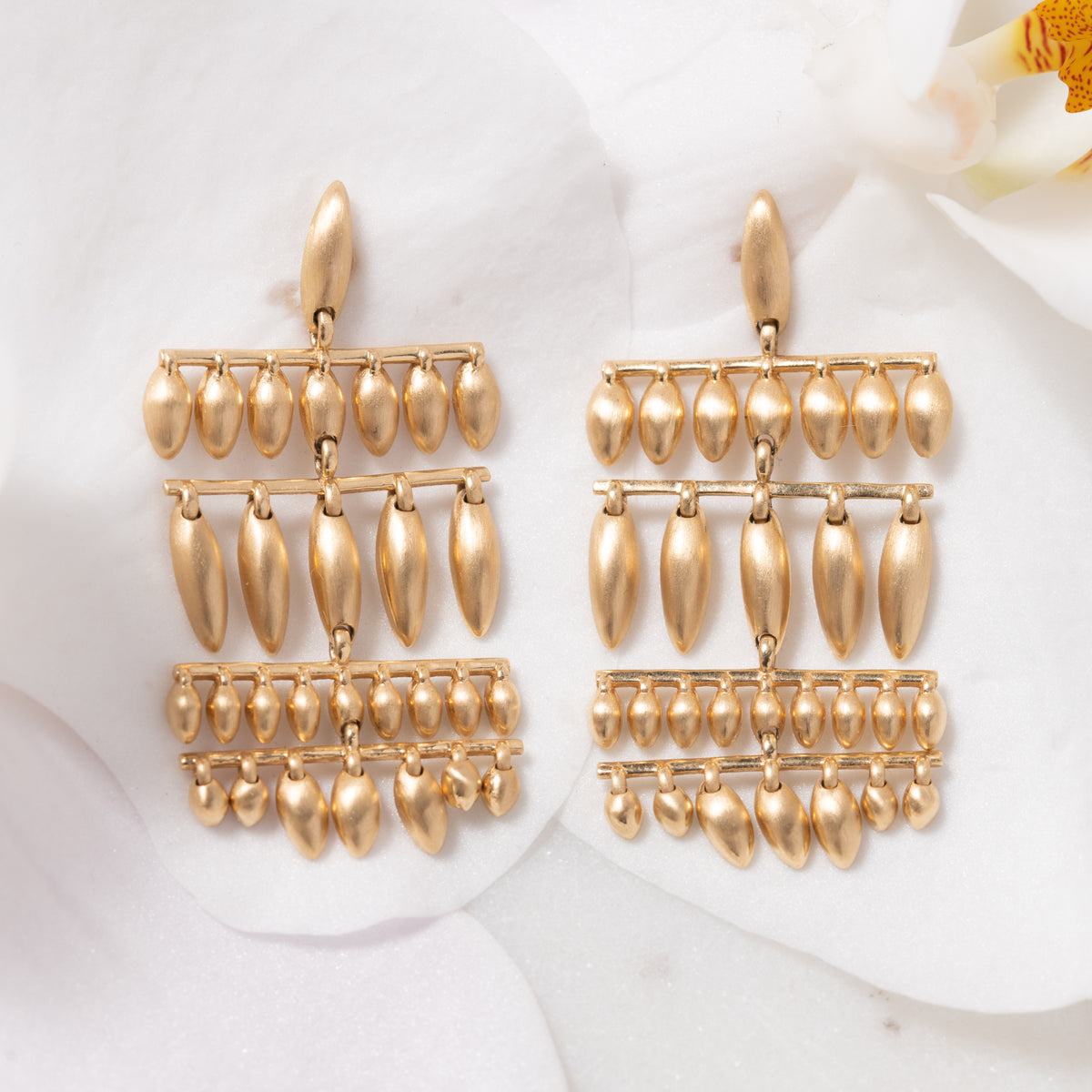 Sundrop Collection – Fiore Wylde